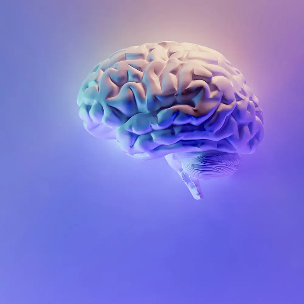 Six learning myths that have been disproved by neuroscience - mensch ...